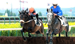 Pmu et turf : pronostics et resultats Pmu du tierce quarte quinte