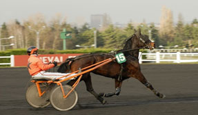 Pmu et turf : pronostics et resultats Pmu du tierce quarte quinte