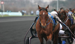 Pmu et turf : pronostics et resultats Pmu du tierce quarte quinte